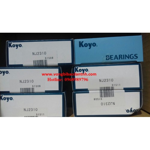 VÒNG BI-BAC ĐẠN-Ổ BI KOYO nj2301-nj2302-nj2303-nj2304-nj2305-nj2306 ...